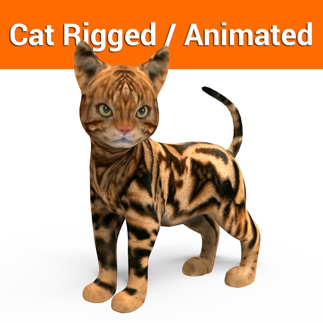 3D Cat Rigged Animation - TurboSquid 1204498