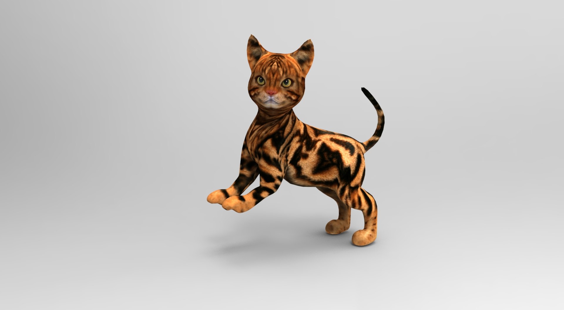 3D Cat Rigged Animation - TurboSquid 1204498