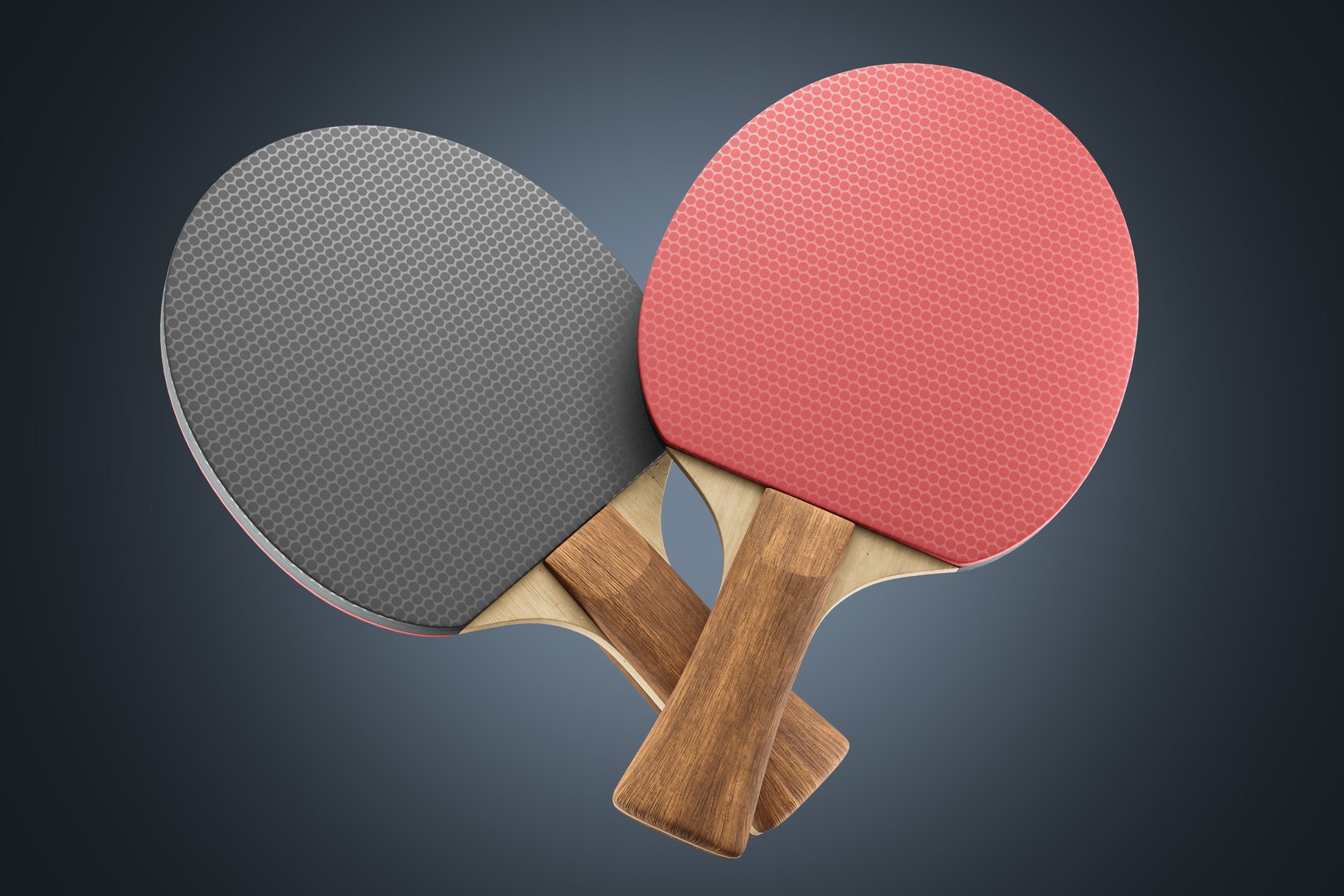 3D Table Tennis Paddle - TurboSquid 2243383