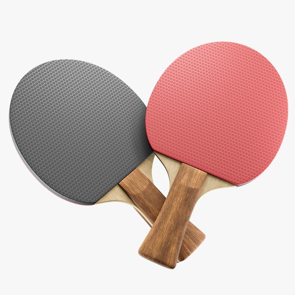 modelo 3d Paleta de tenis de mesa - TurboSquid 2243383