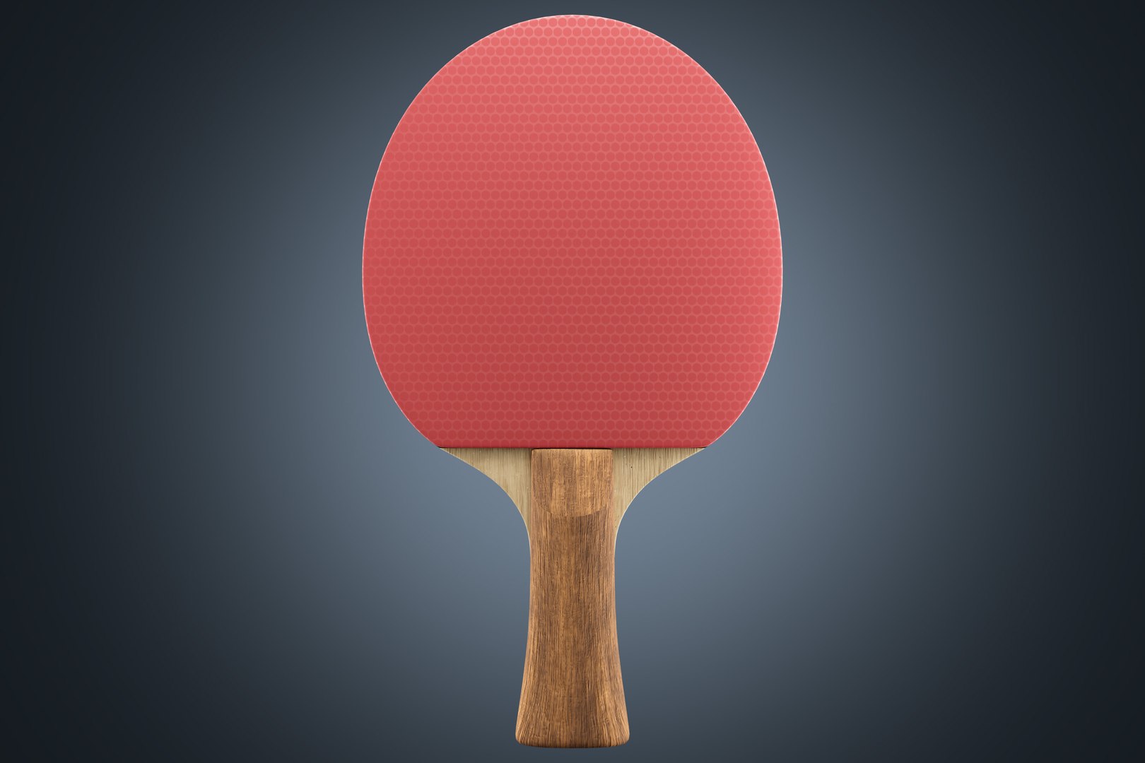 3D Table Tennis Paddle - TurboSquid 2243383