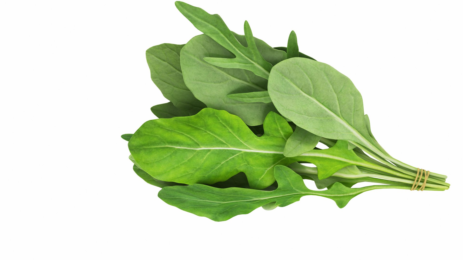 3D Arugula Bunch - TurboSquid 2515242