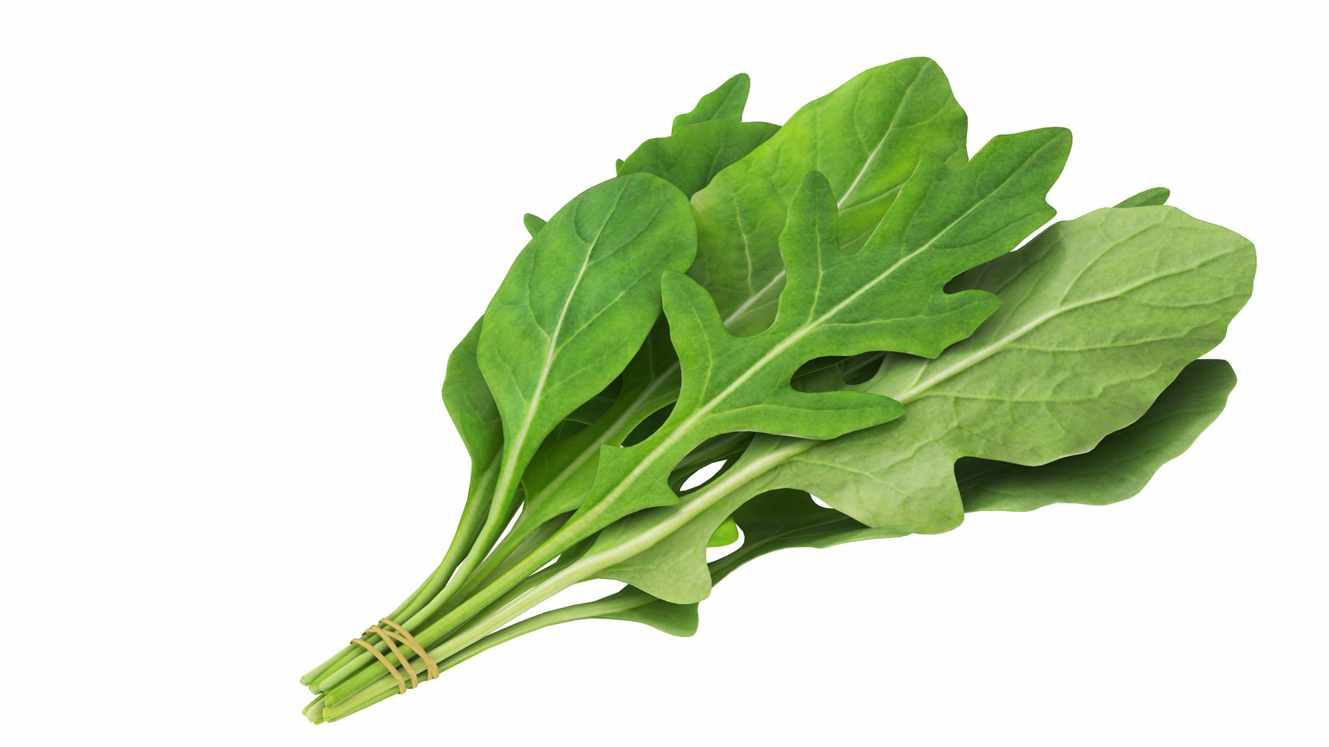 3D Arugula Bunch - TurboSquid 2515242