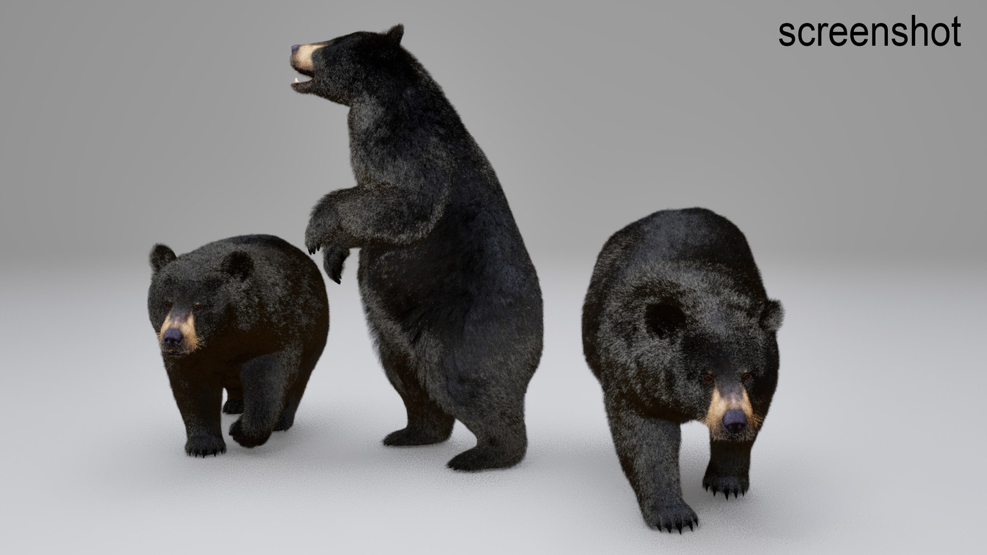 Black Bear Animated UNREAL Project Plus Maya Base Rig 3D Model ...