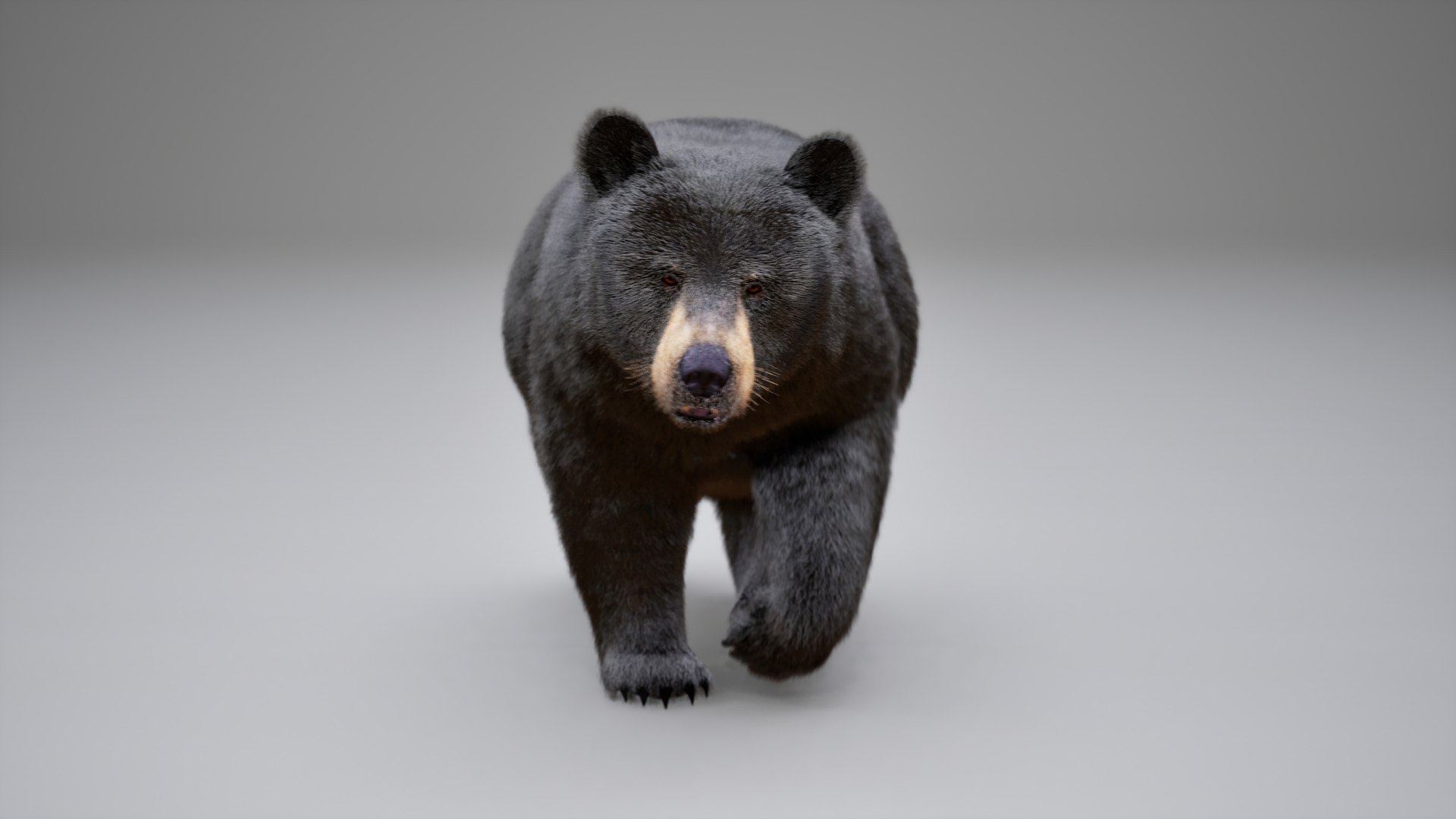 Black Bear Animated UNREAL Project Plus Maya Base Rig 3D Model ...