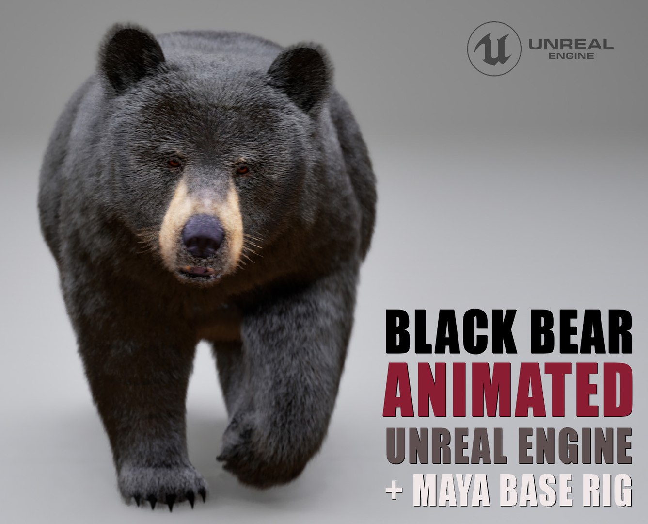 Black Bear Animated UNREAL Project Plus Maya Base Rig 3D Model ...