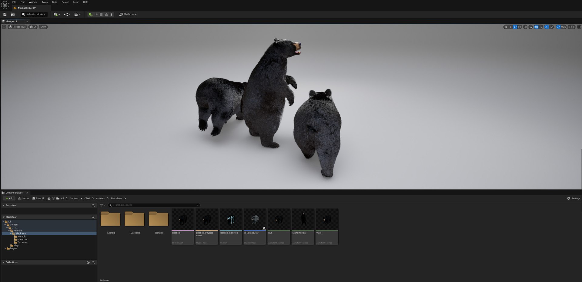 Black Bear Animated UNREAL Project Plus Maya Base Rig 3D Model ...