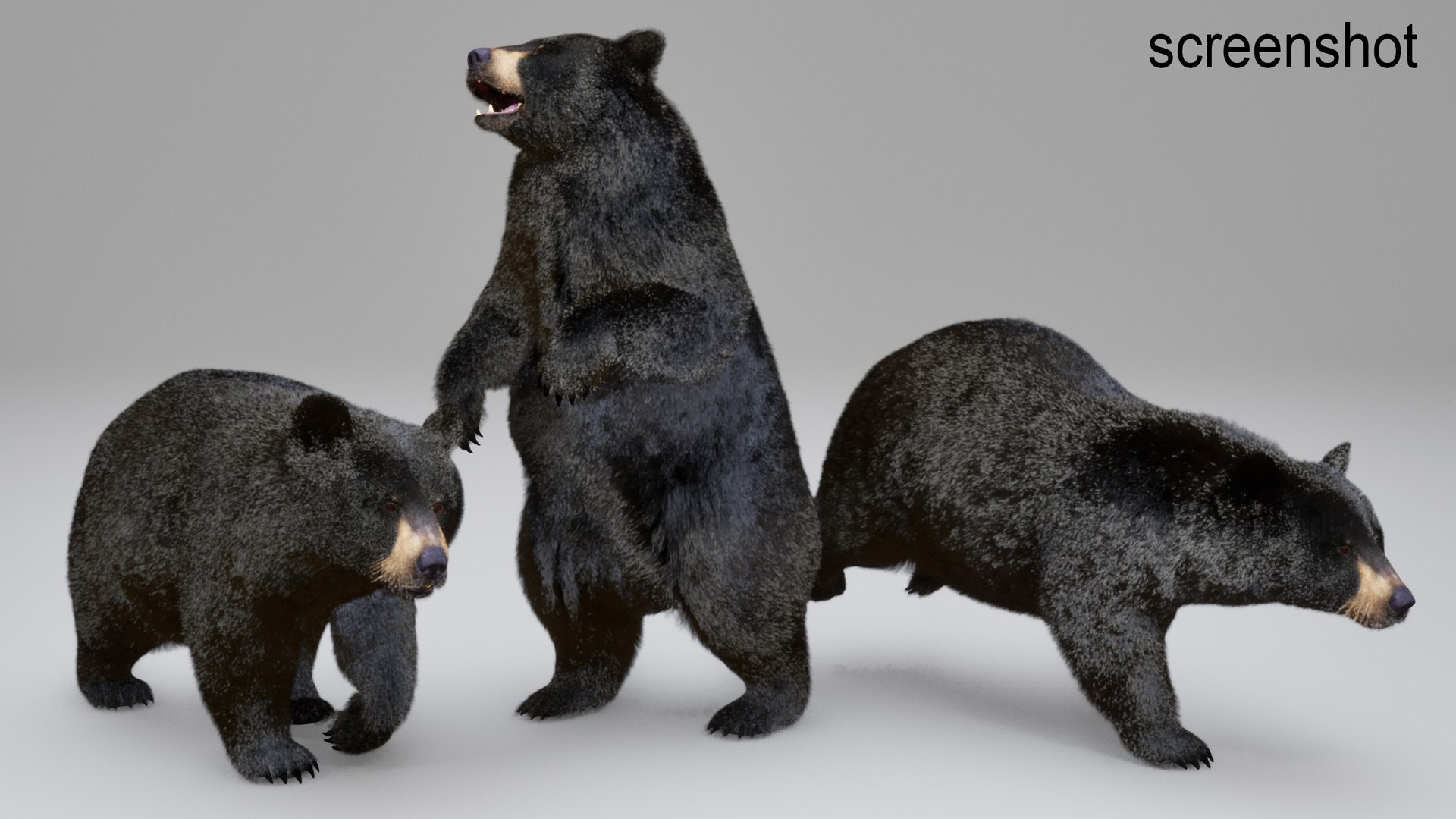Black Bear Animated UNREAL Project Plus Maya Base Rig 3D Model - TurboSquid 2356836