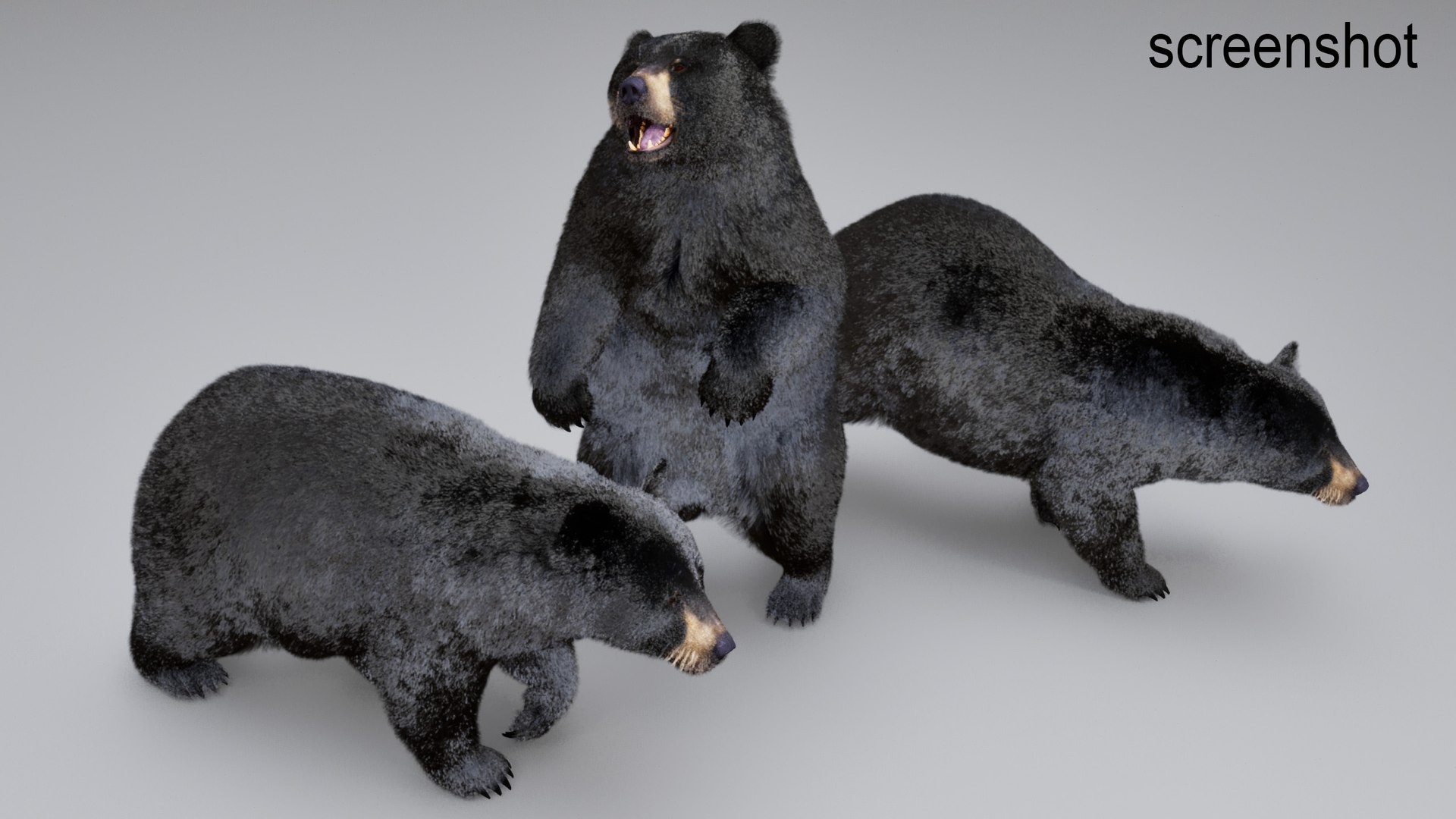 Black Bear Animated UNREAL Project Plus Maya Base Rig 3D Model ...