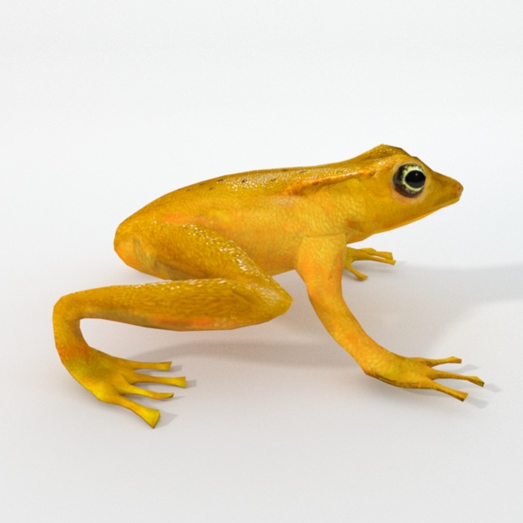 Golden Frog 3D - TurboSquid 1400315