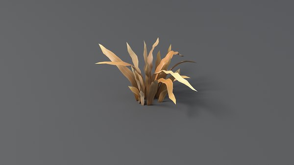 3D Cartoon Dry Grass 01(1) model - TurboSquid 2047525