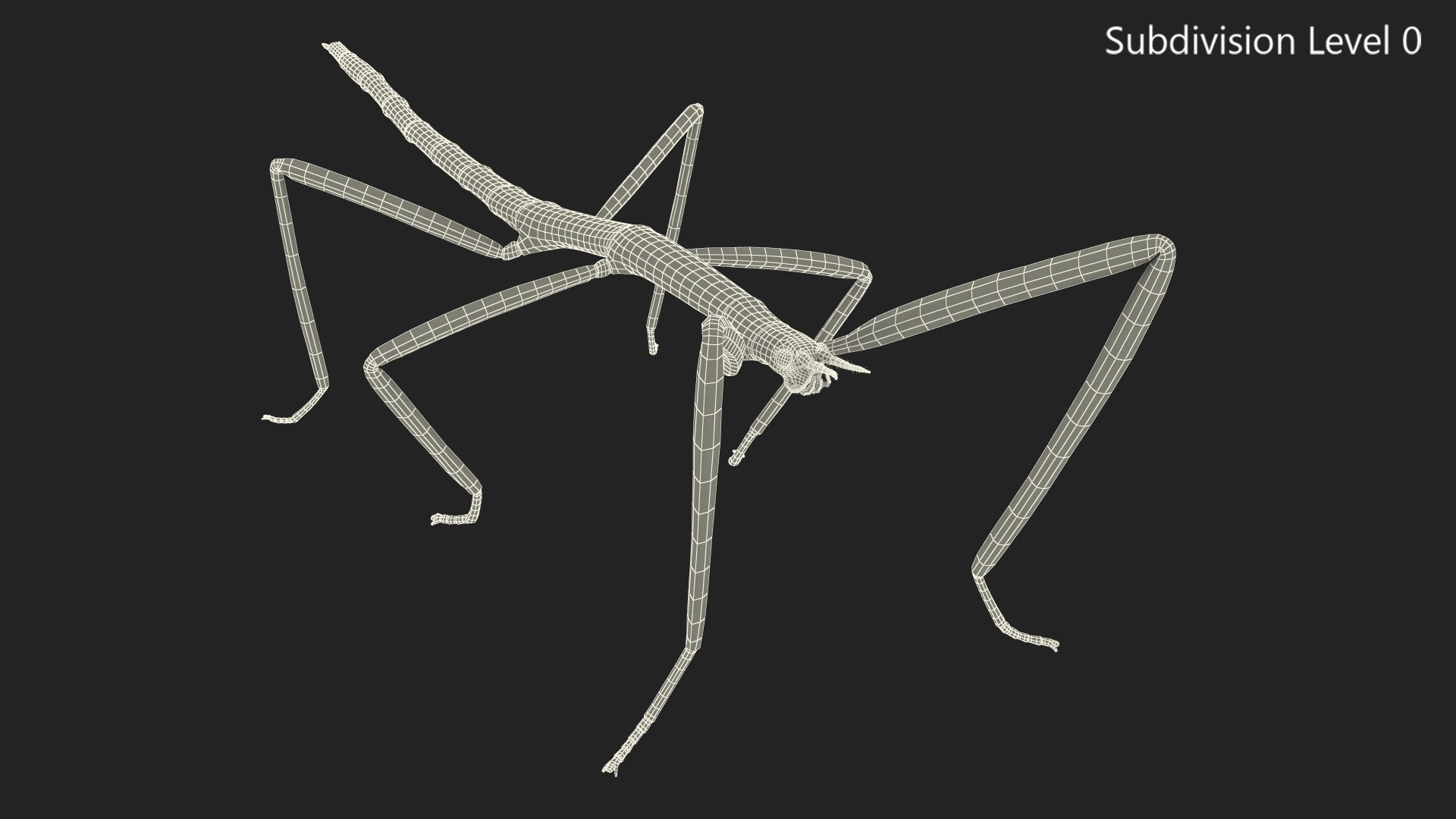 Stick insect brown model - TurboSquid 1469610