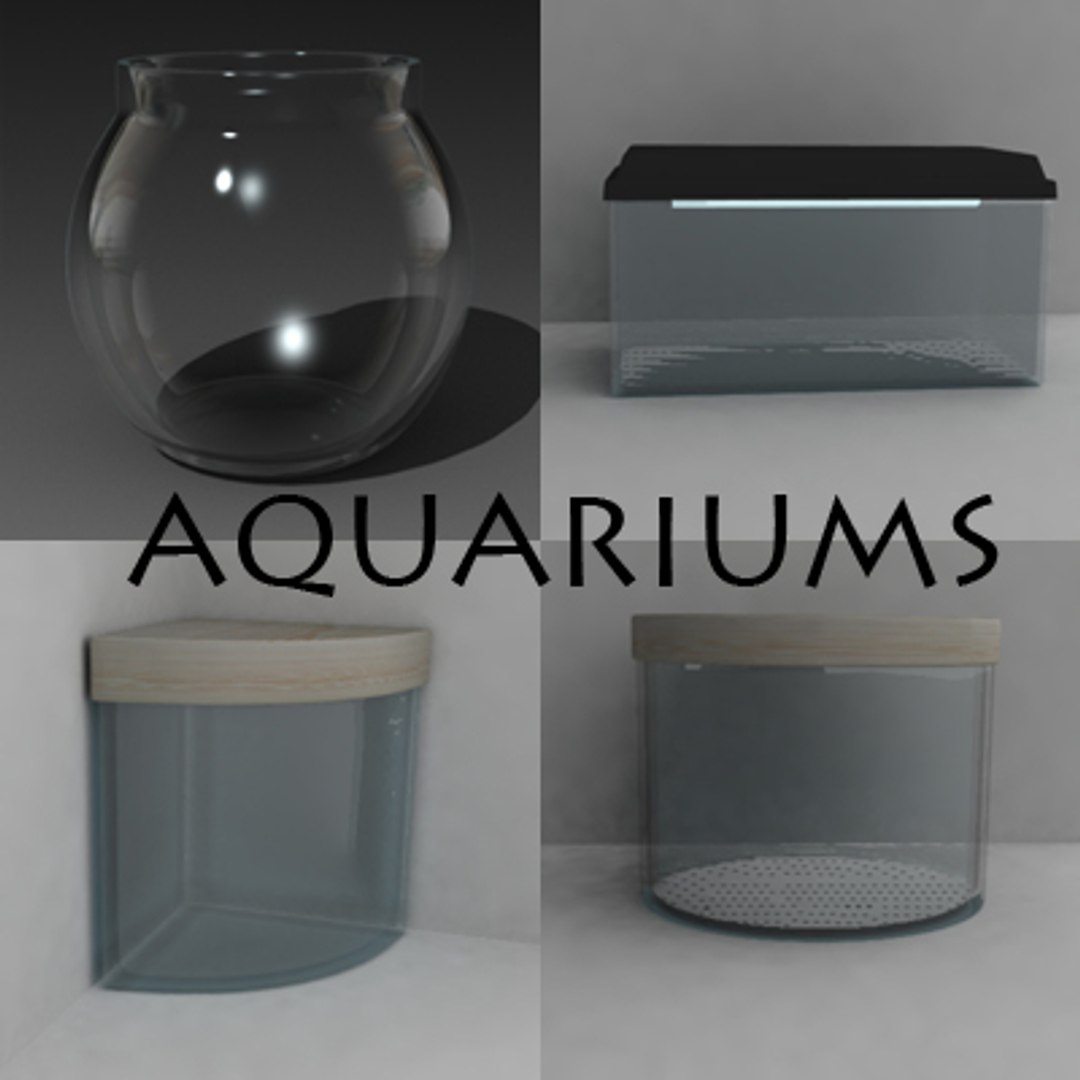 3d Fishbowl Aquarium Model