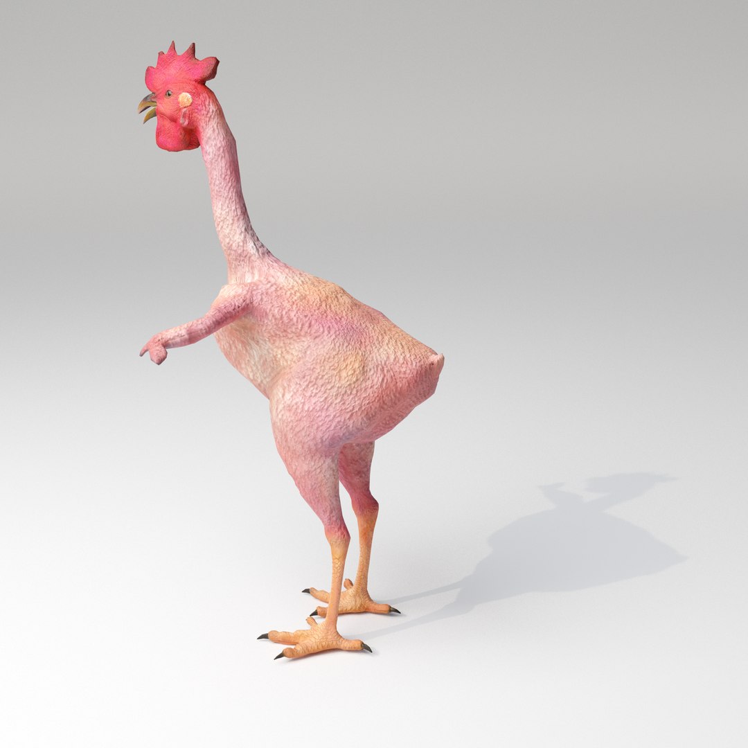 3D Funny Rooster Without Feather - TurboSquid 2218159