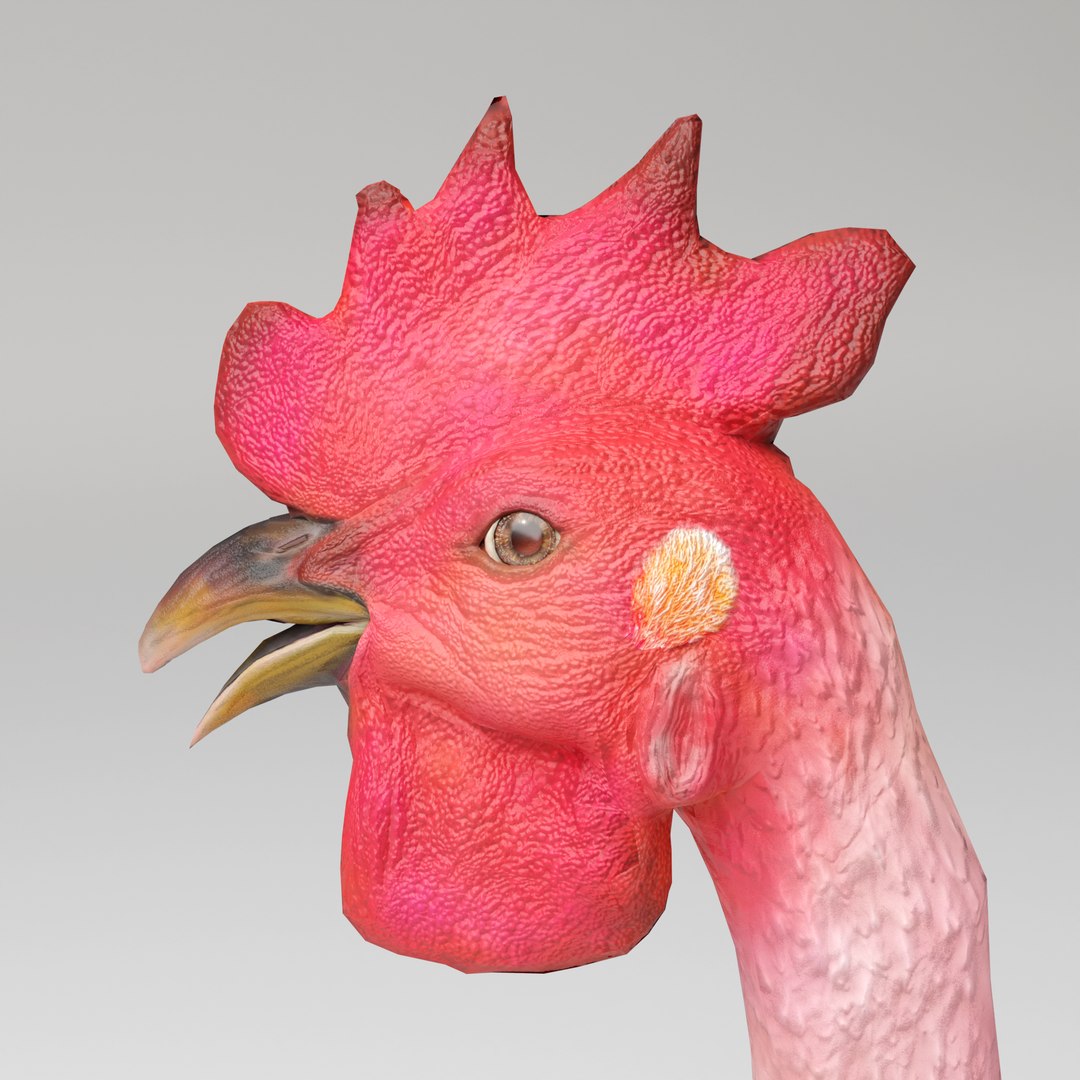 3D Funny Rooster Without Feather - TurboSquid 2218159