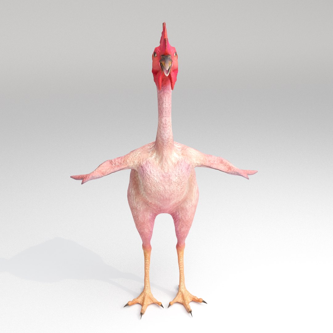 3D Funny Rooster Without Feather - TurboSquid 2218159