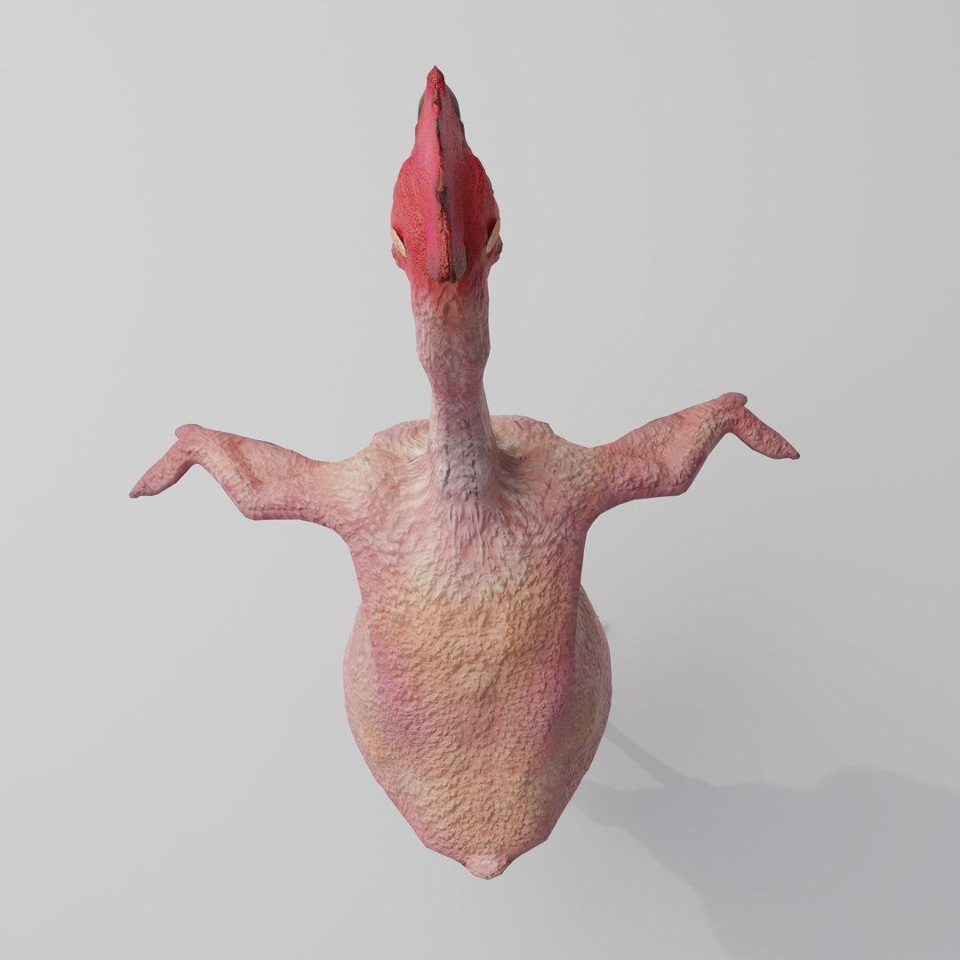 3D Funny Rooster Without Feather - TurboSquid 2218159