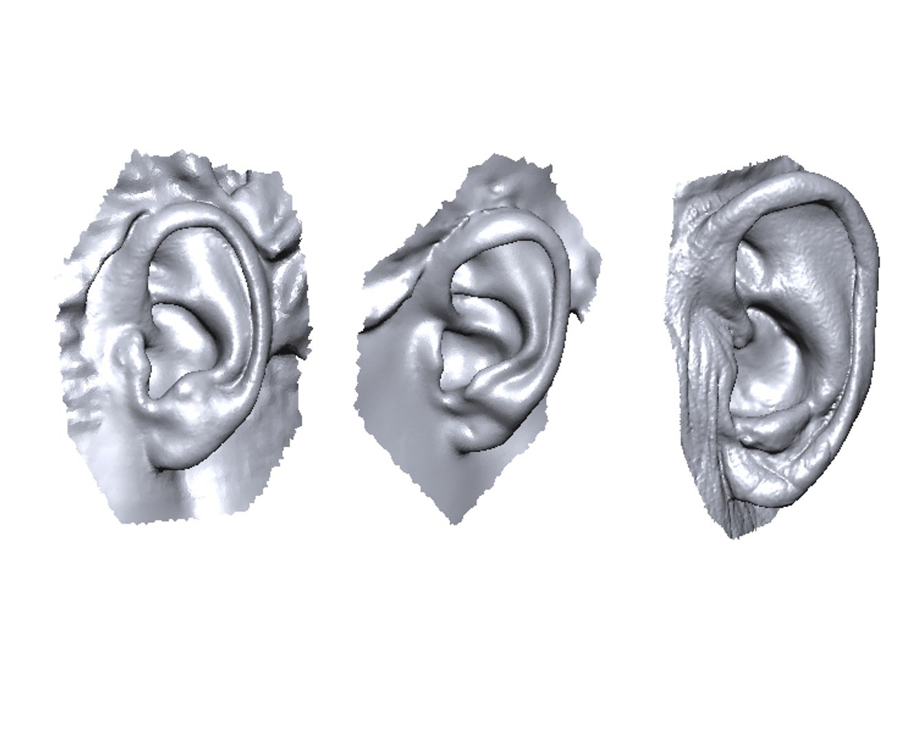 3D Ears Scan Model - TurboSquid 1254599