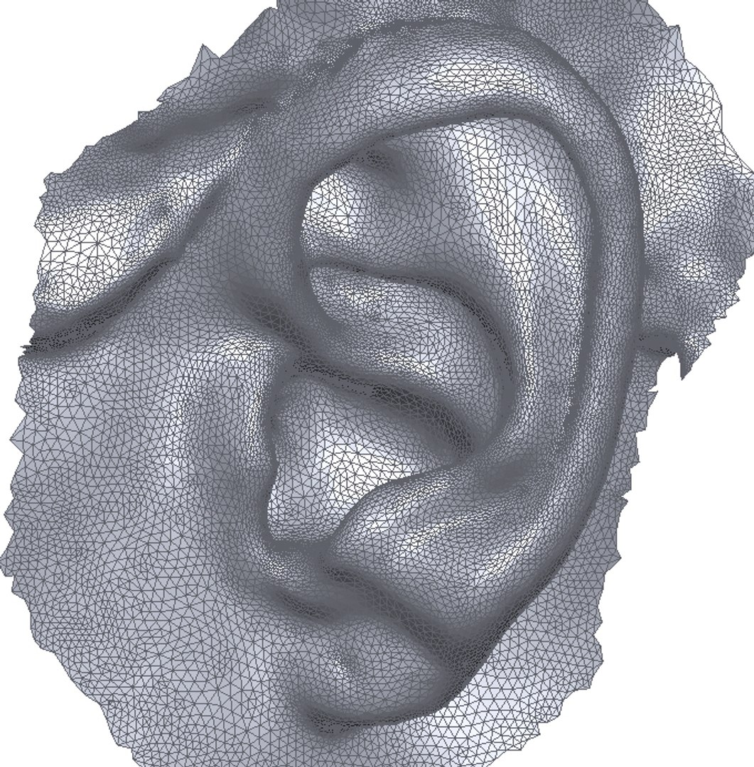 3D Ears Scan Model - TurboSquid 1254599