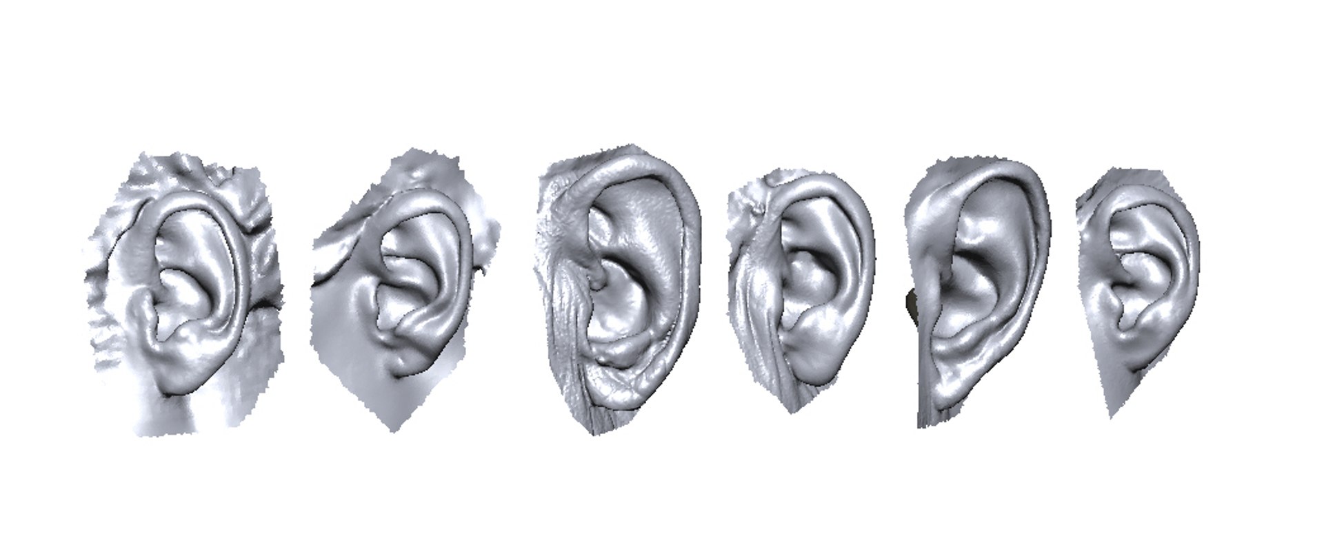 3D Ears Scan Model - TurboSquid 1254599