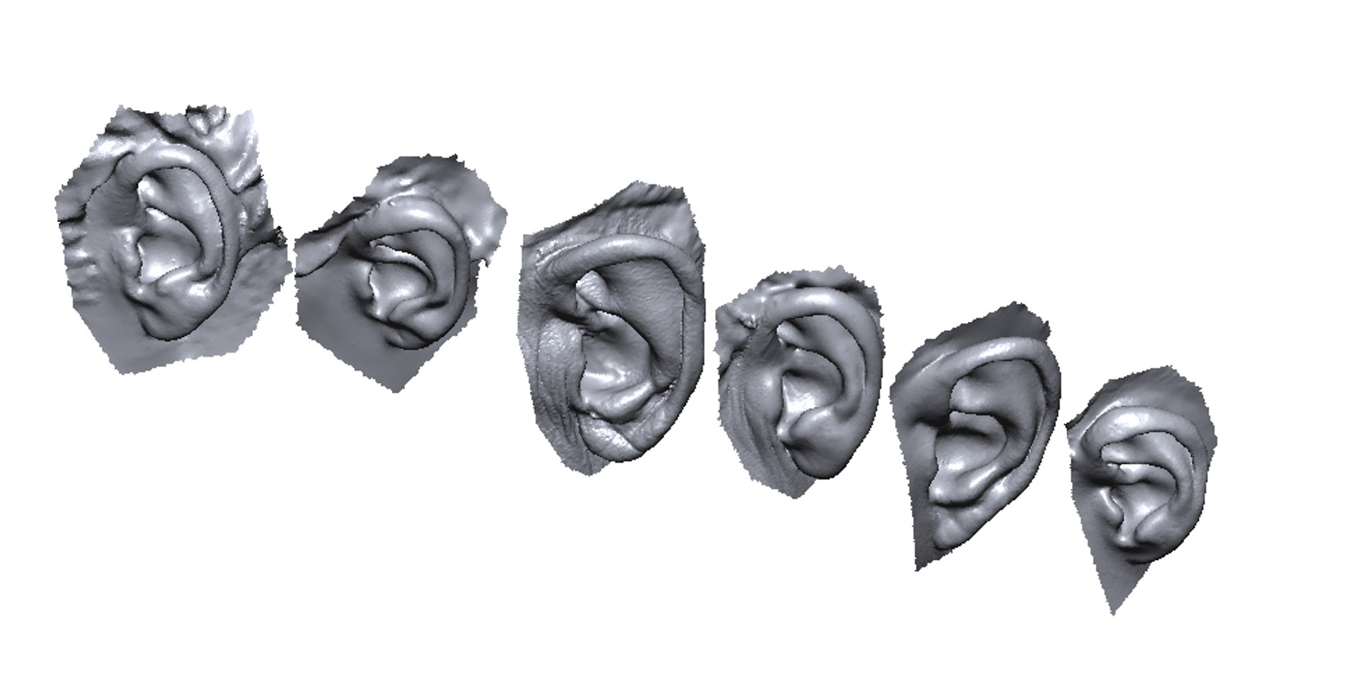 3D Ears Scan Model - TurboSquid 1254599