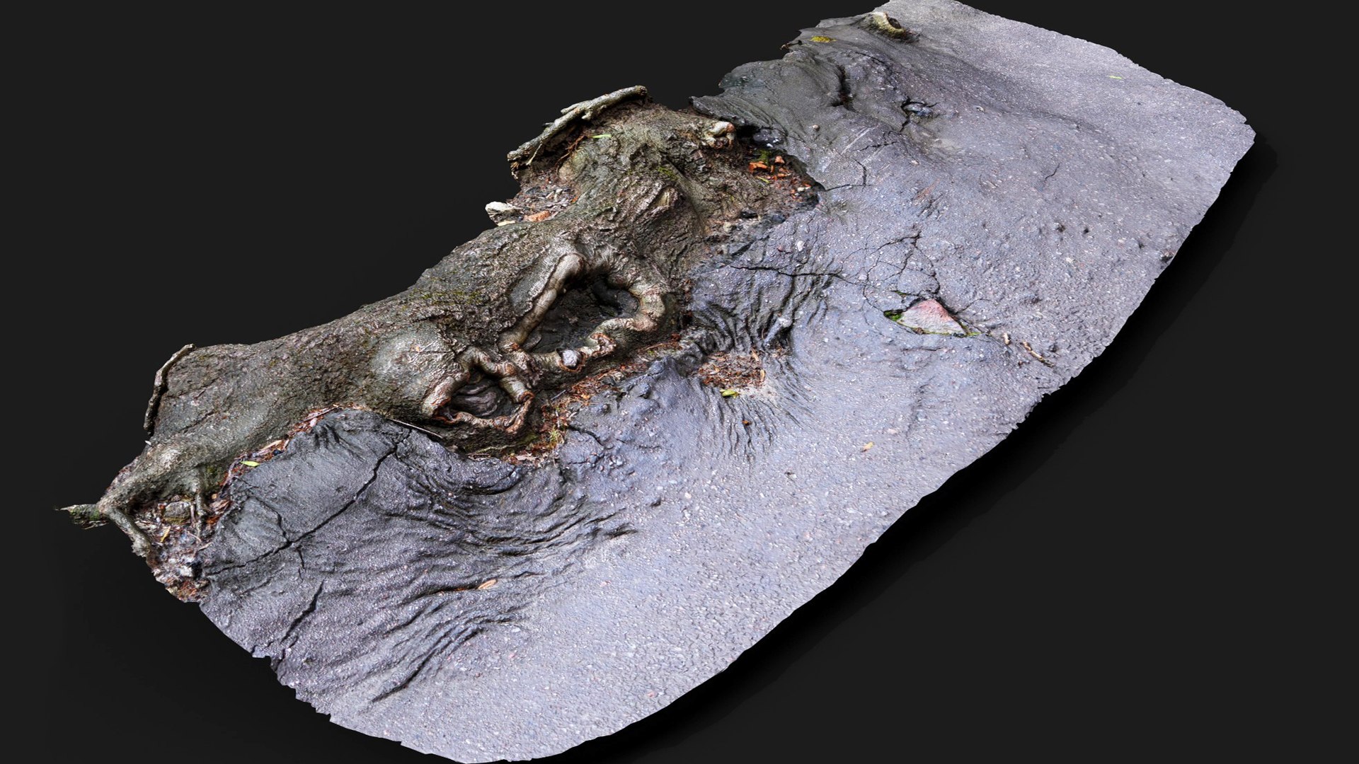 3D Tree Roots Damaged Road Asphalt Part1 Photogrammetry - TurboSquid ...