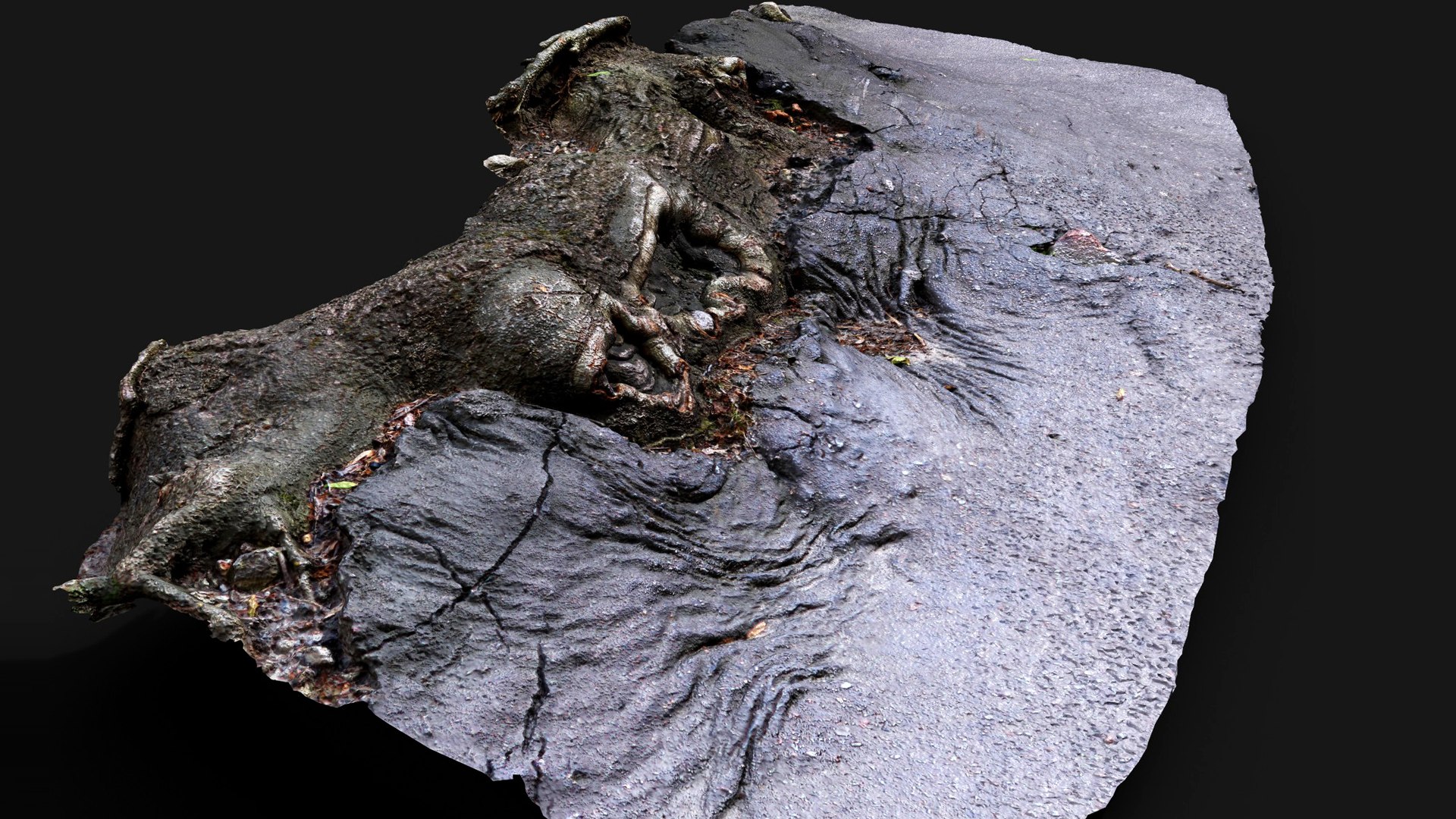 3D Tree Roots Damaged Road Asphalt Part1 Photogrammetry - TurboSquid ...