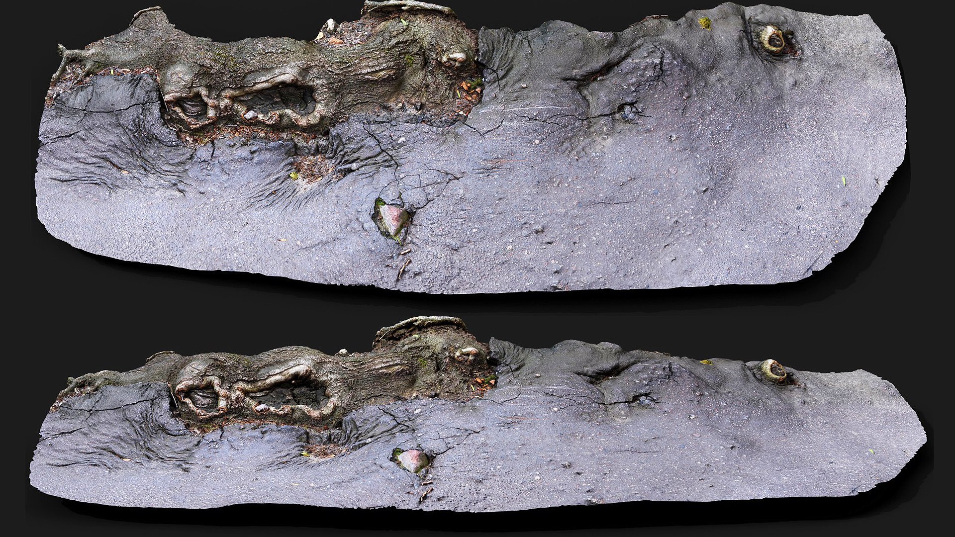 3D Tree Roots Damaged Road Asphalt Part1 Photogrammetry - TurboSquid ...