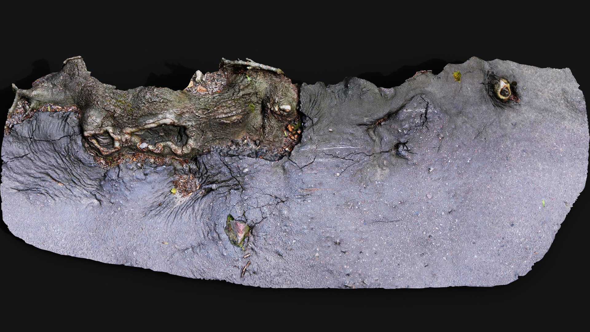 3D Tree Roots Damaged Road Asphalt Part1 Photogrammetry - TurboSquid ...