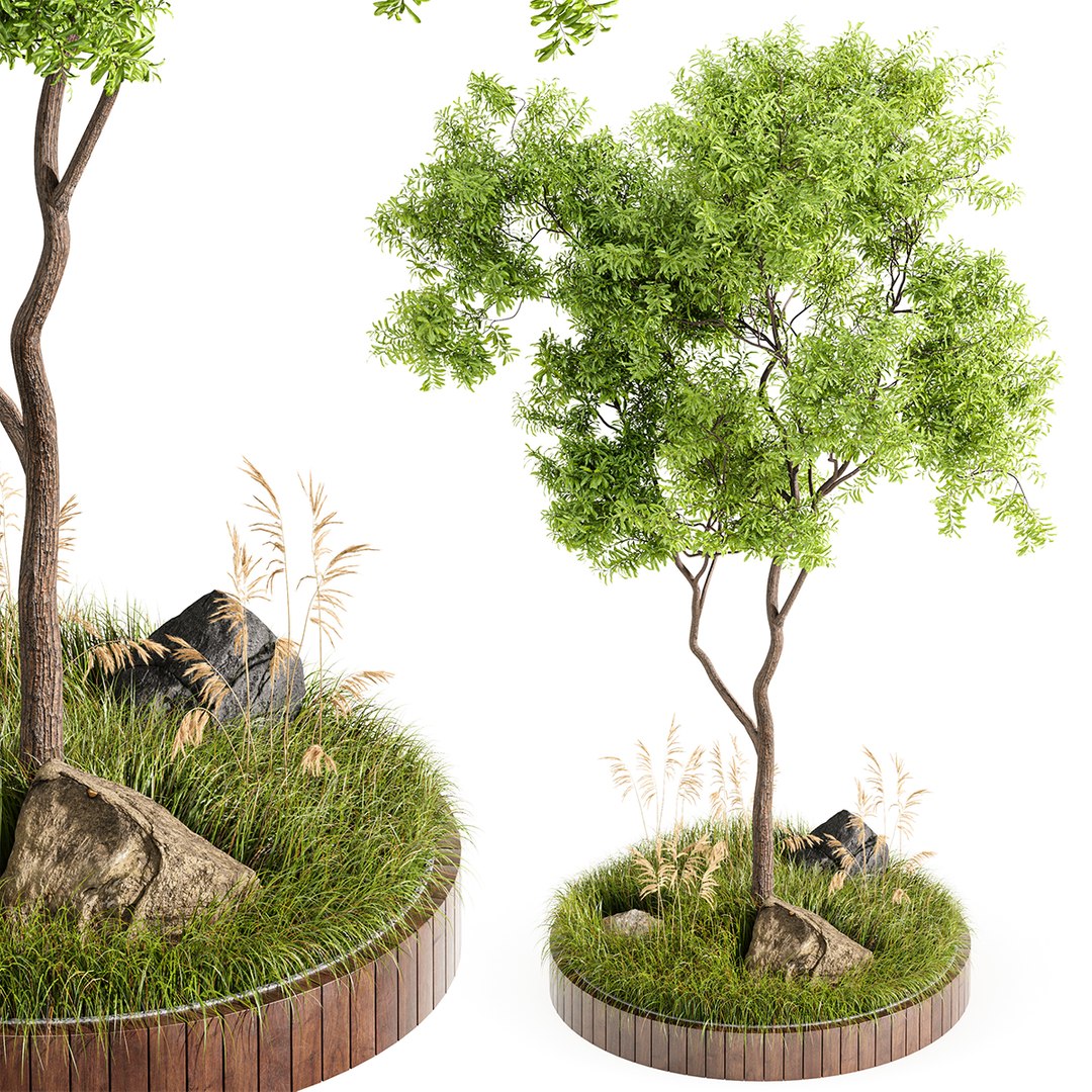 Outdoor Plant Set 001 Plant Square 3D Model - TurboSquid 2244580