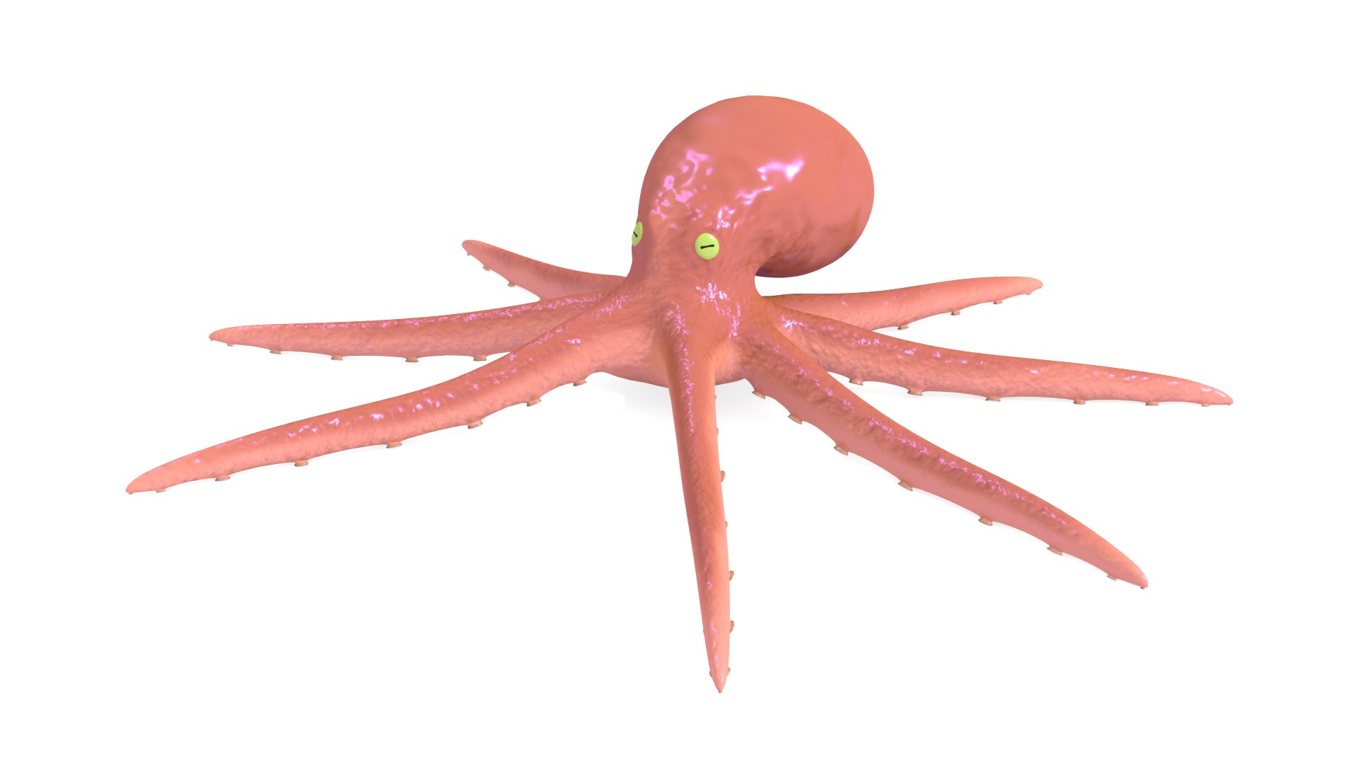 3D nature octopus animals - TurboSquid 1481043