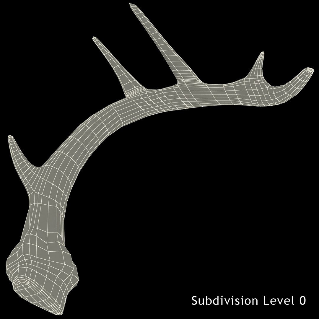 Deer Antler 2 3d Model