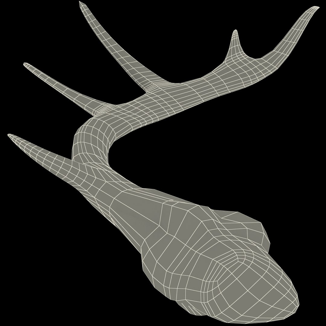 Deer Antler 2 3d Model