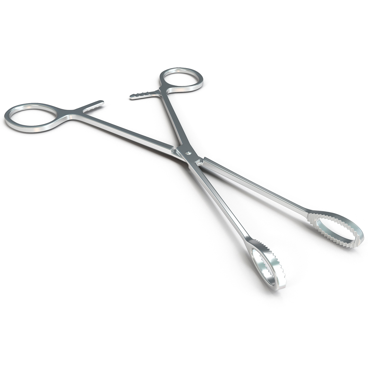 sponge forceps 3d model