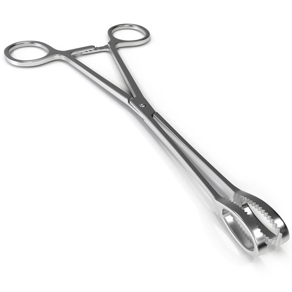 sponge forceps 3d model