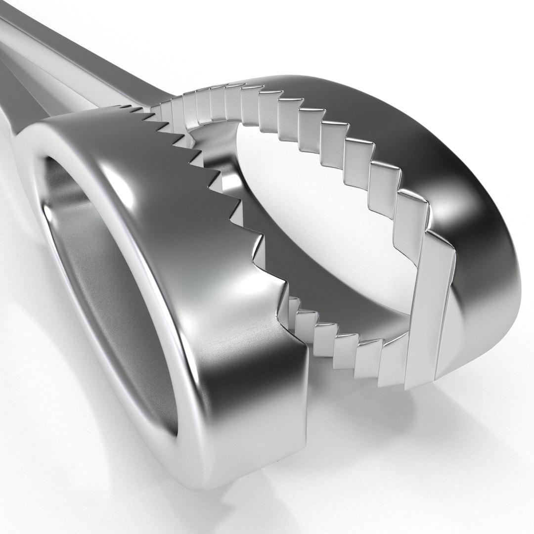 Sponge Forceps 3d Model