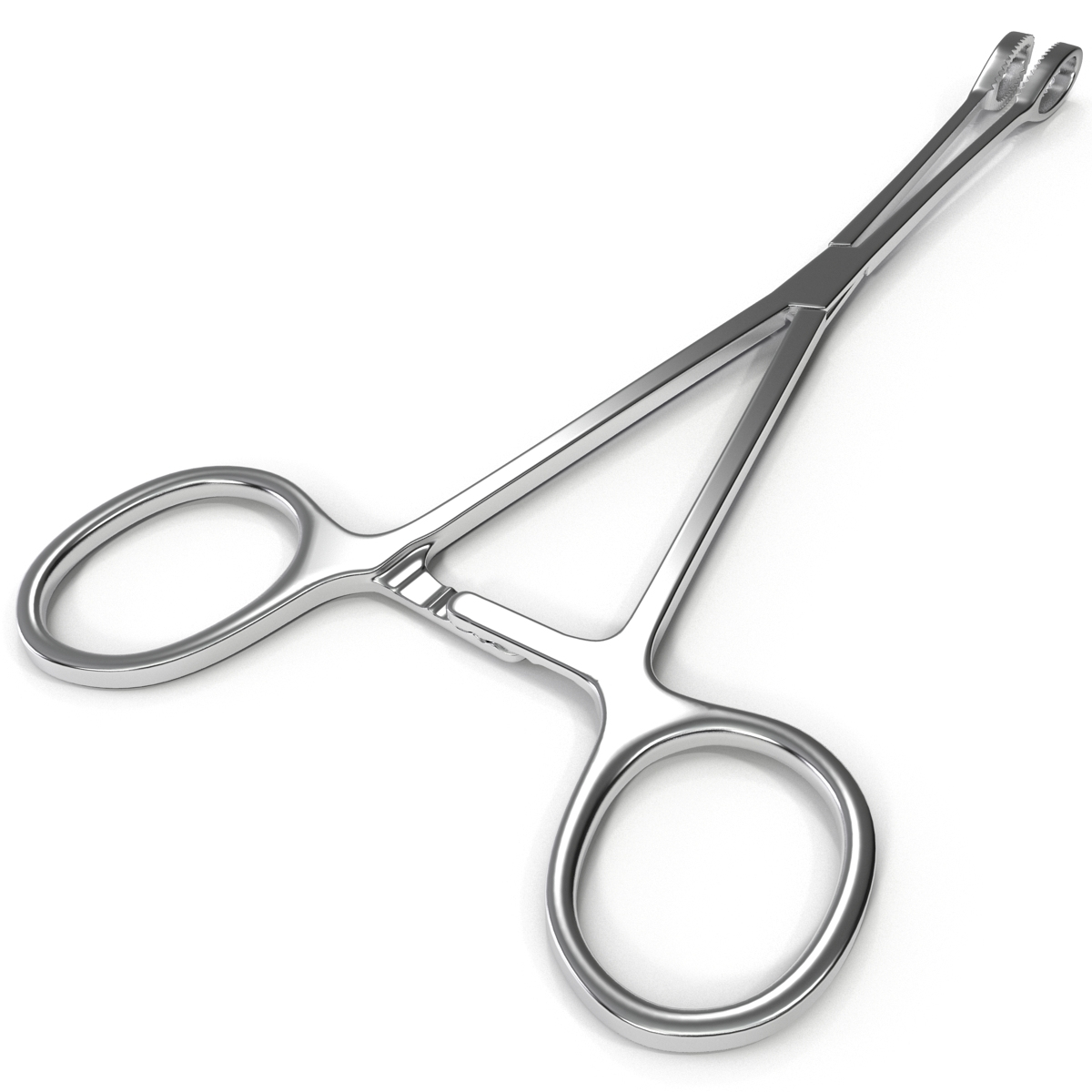 sponge forceps 3d model