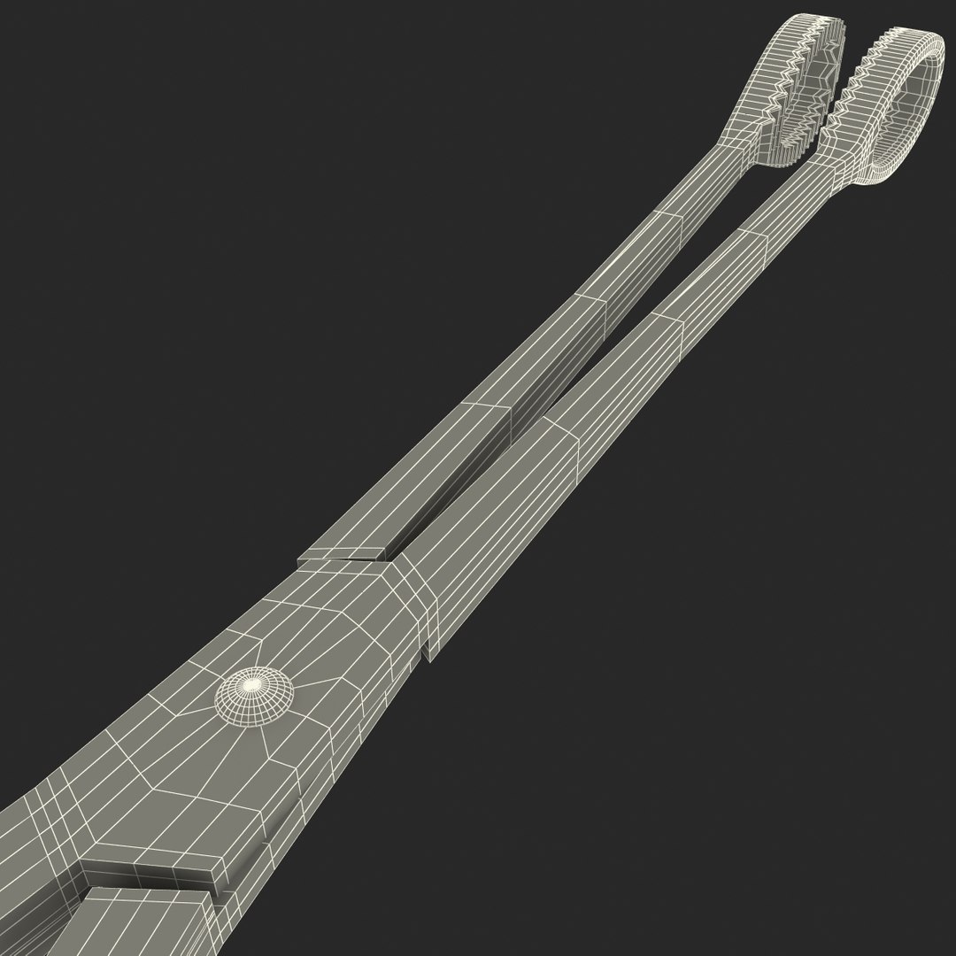 Sponge Forceps 3d Model