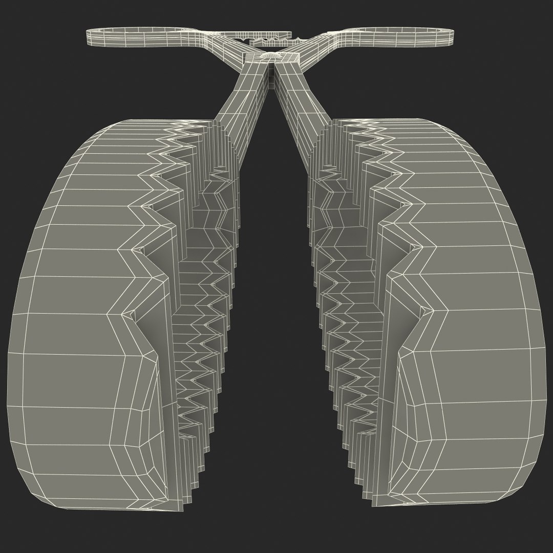 Sponge Forceps 3d Model