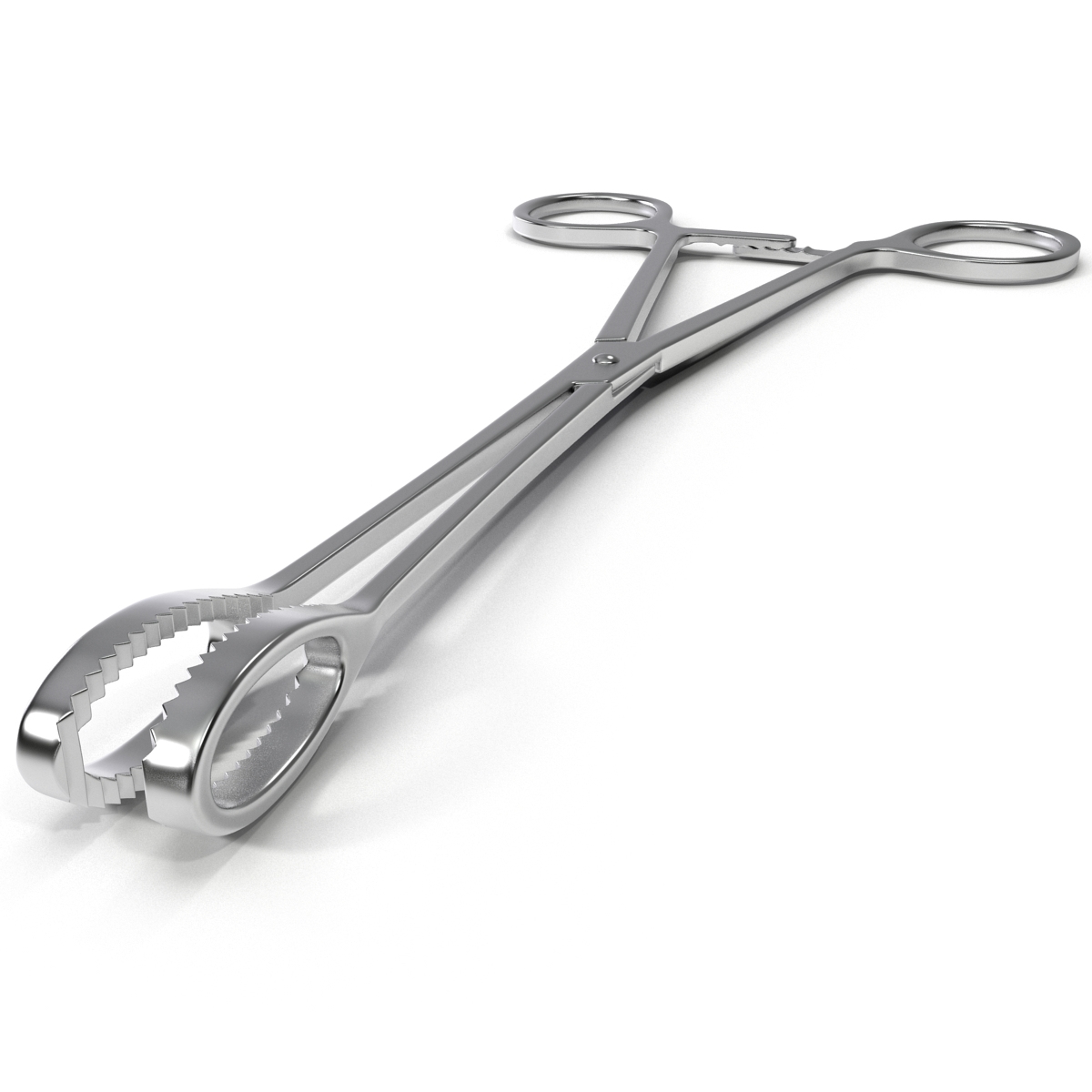 sponge forceps 3d model