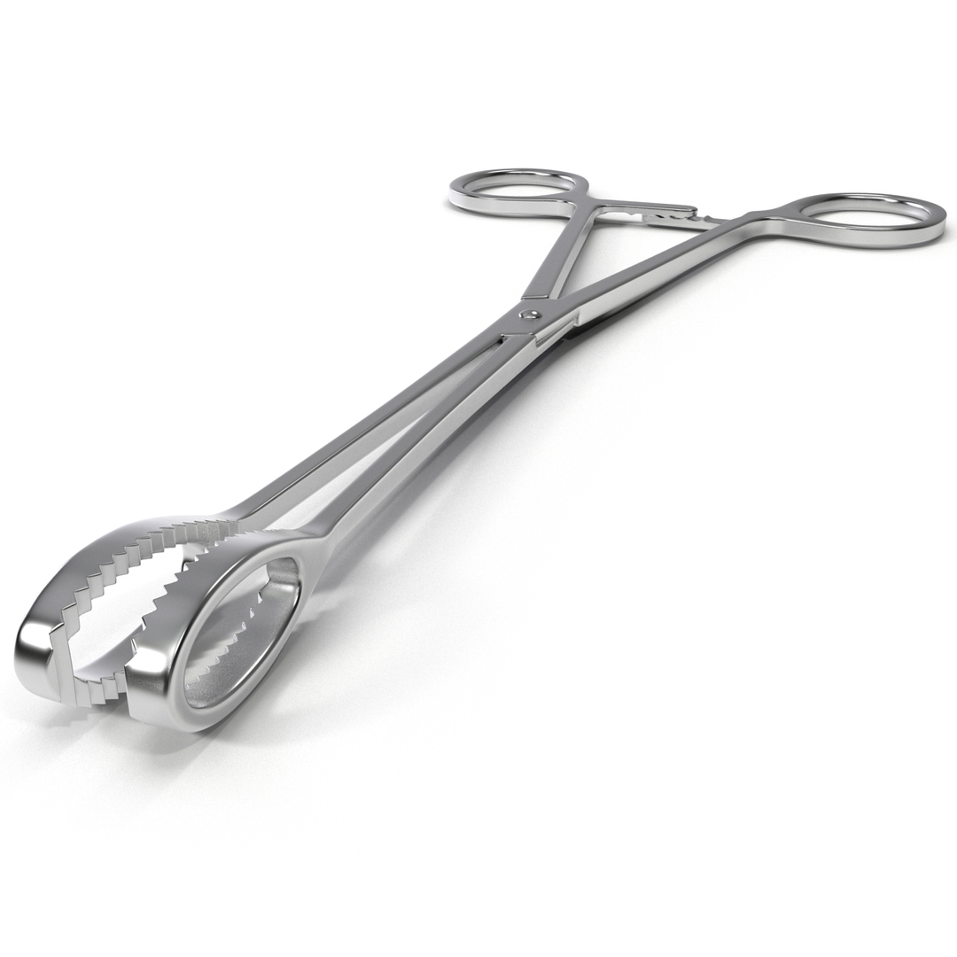 sponge forceps 3d model