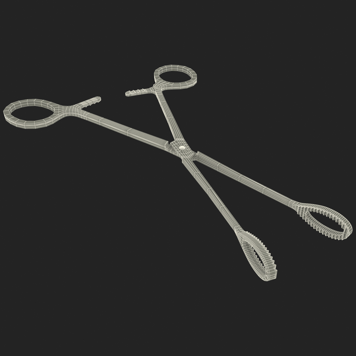 sponge forceps 3d model