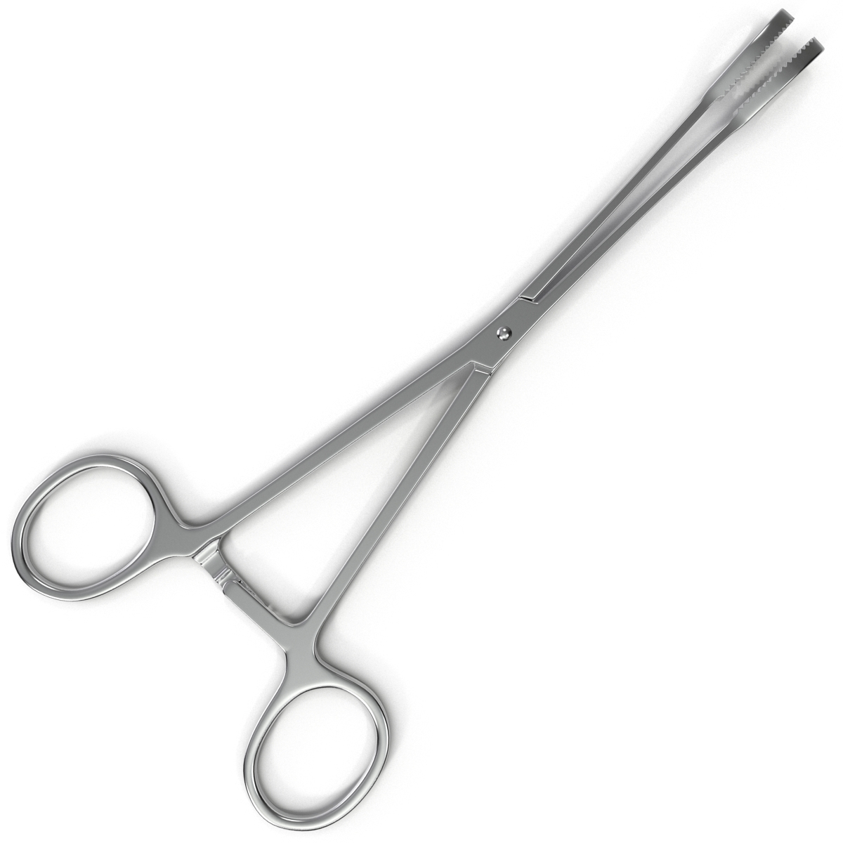 sponge forceps 3d model