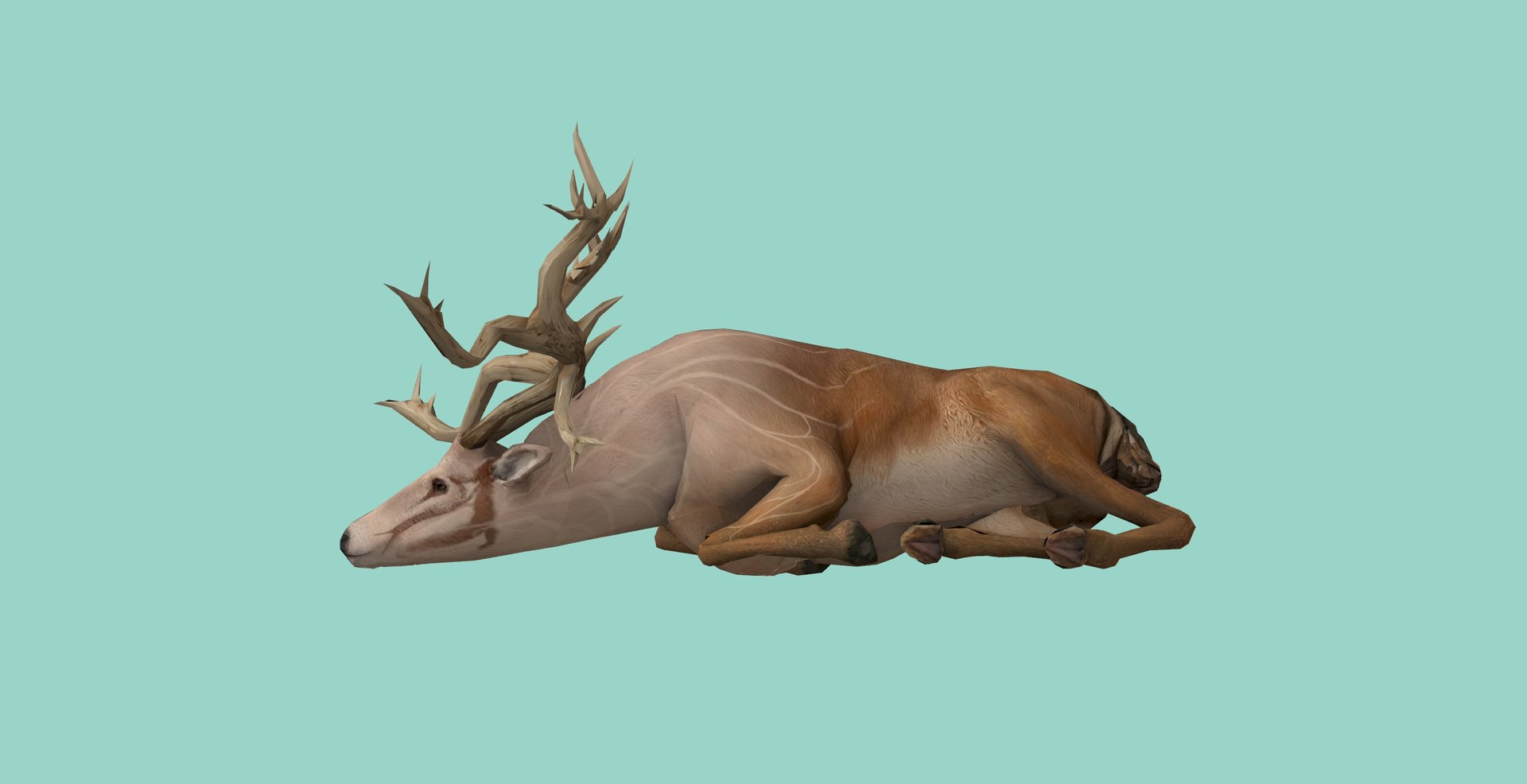 Lying Sika Deer 3D Model - TurboSquid 2074508