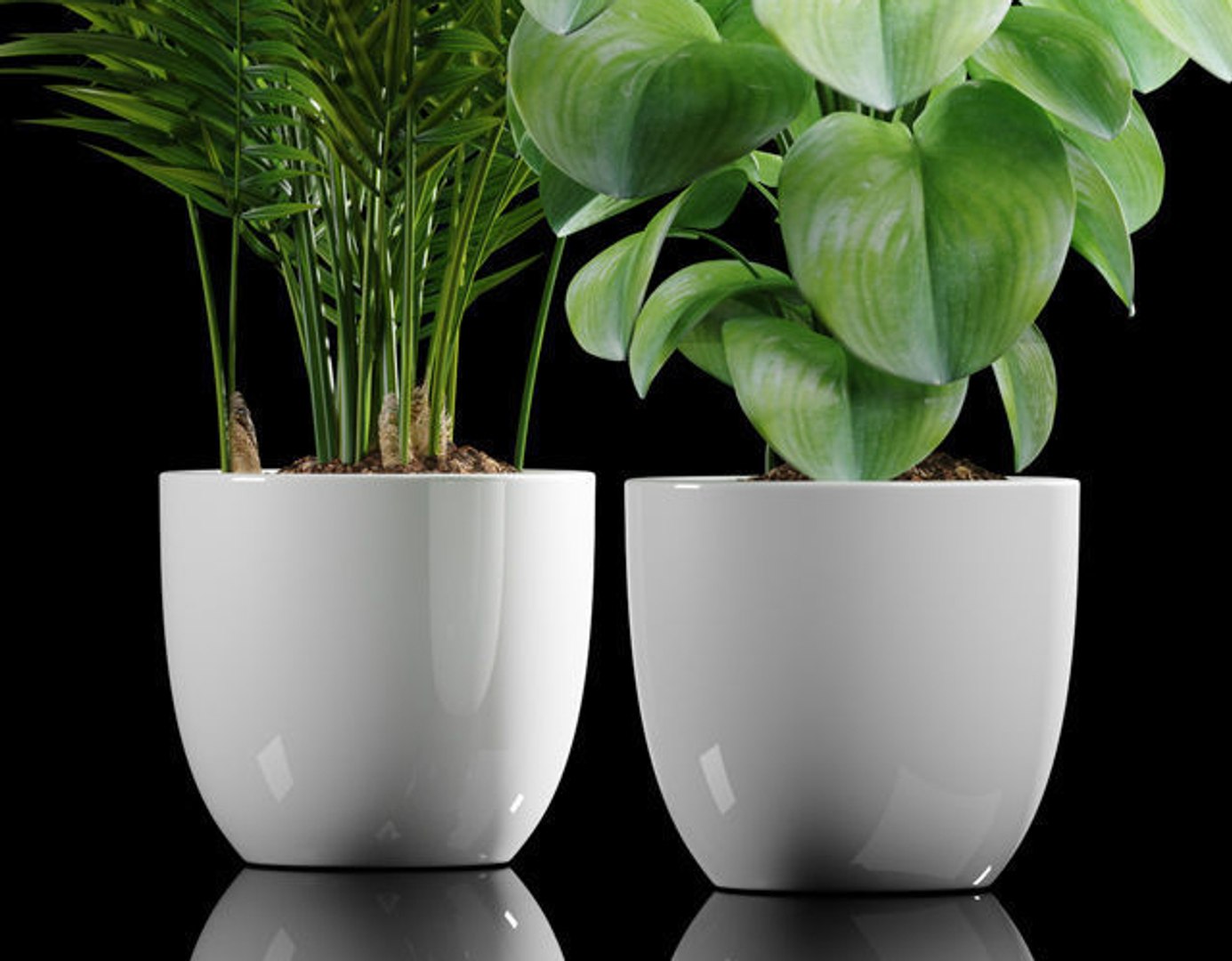 Plant 177 3D Model - TurboSquid 1402772