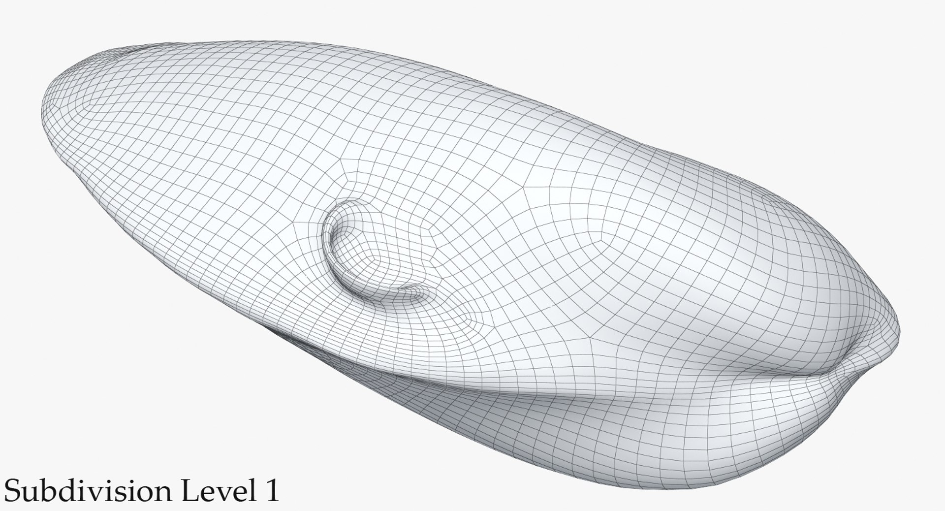 3D model mussel shell | 1143470 | TurboSquid