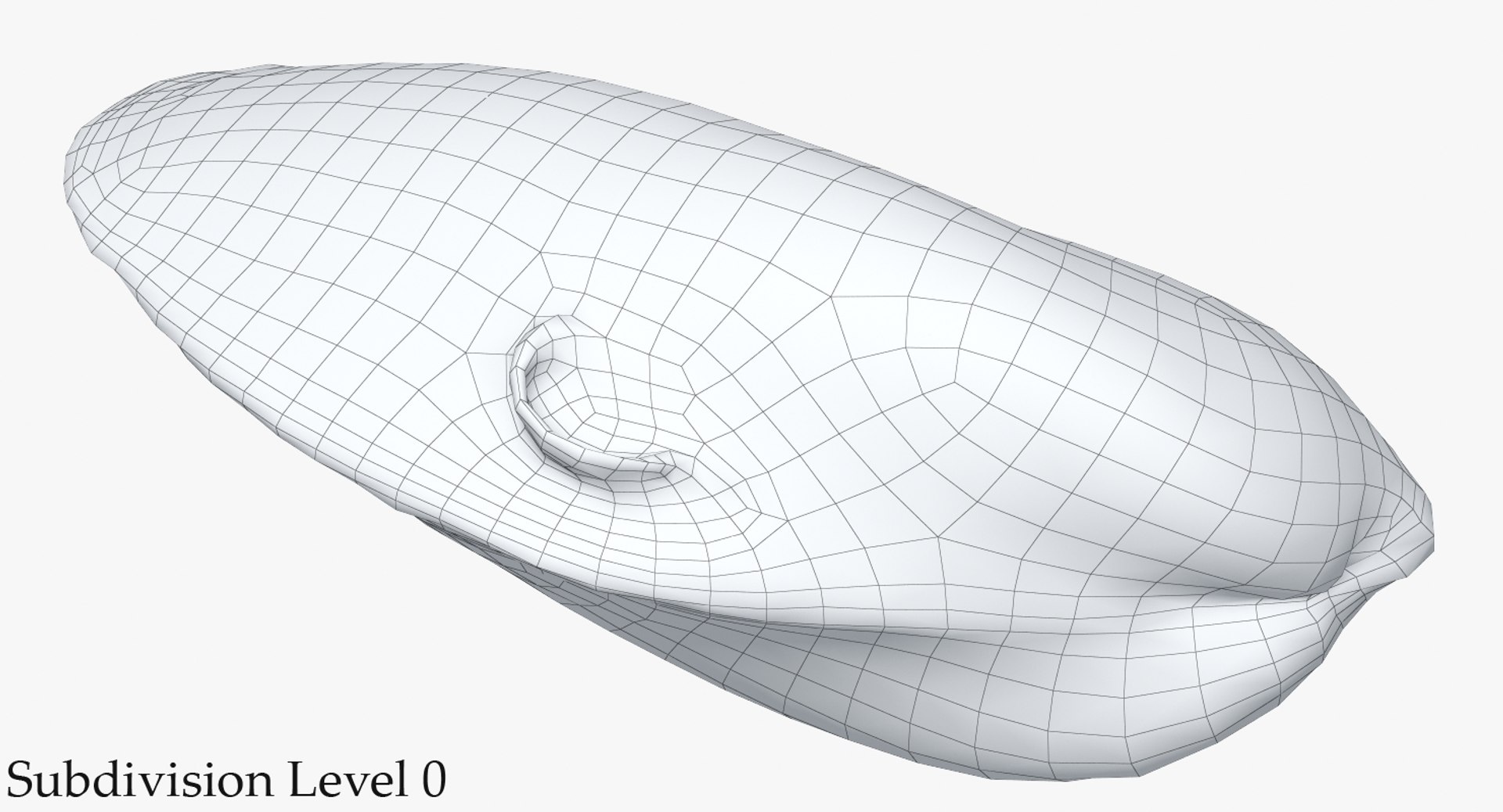 3D model mussel shell | 1143470 | TurboSquid