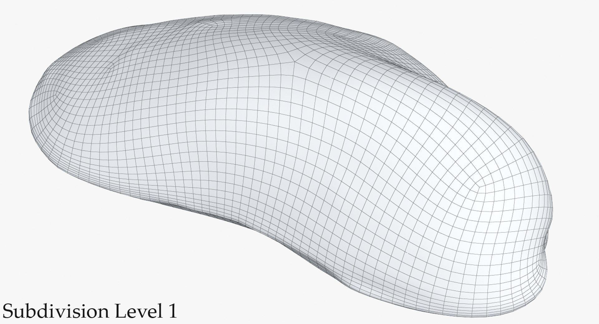 3D model mussel shell | 1143470 | TurboSquid