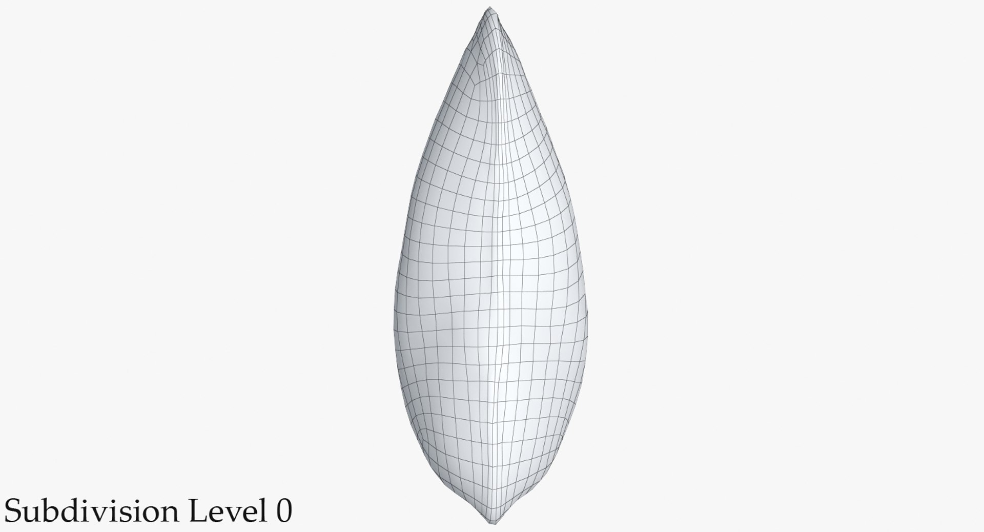 3D model mussel shell | 1143470 | TurboSquid