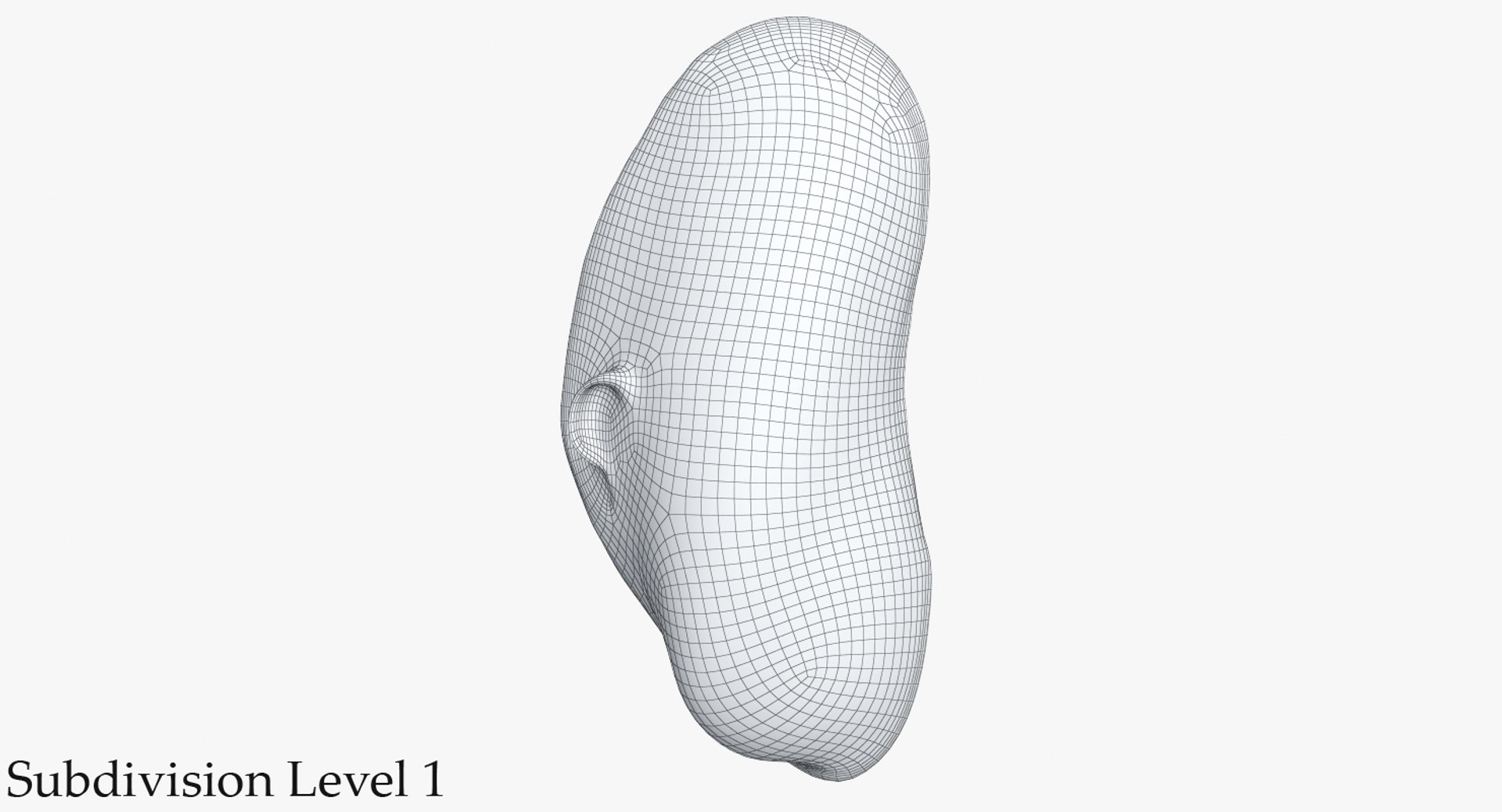 3D model mussel shell | 1143470 | TurboSquid